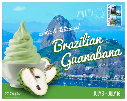 FAST FOOD NEWS - TCBY World of Fro-Yo Flavors - The Impulsive Buy